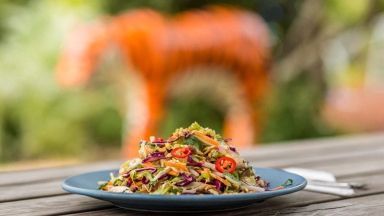The Boot – Luxury Fairytale Accommodation – Jester House Café and Tame Eels