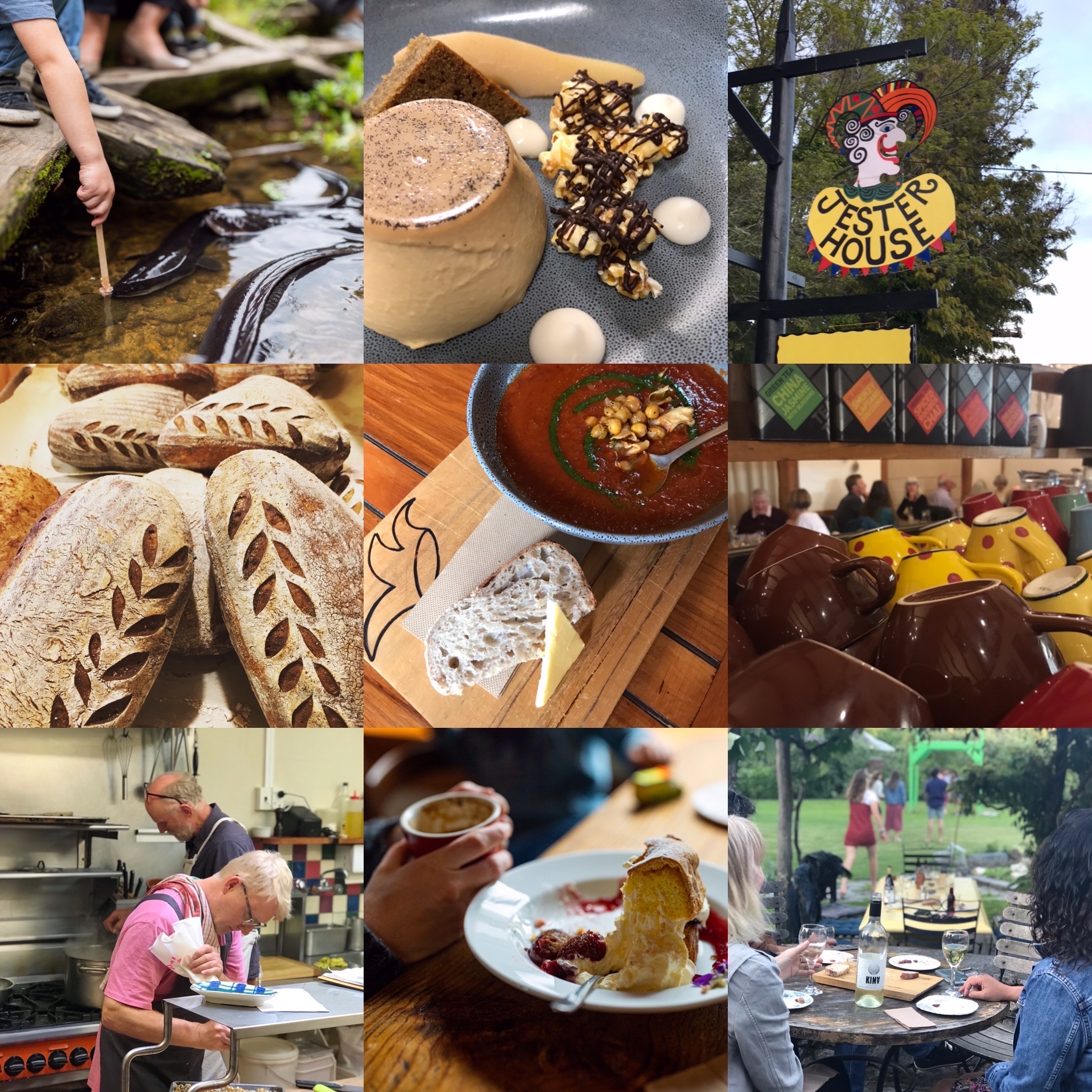 Jester House Café and Tame Eels – Award Winning Restaurant and Café in ...